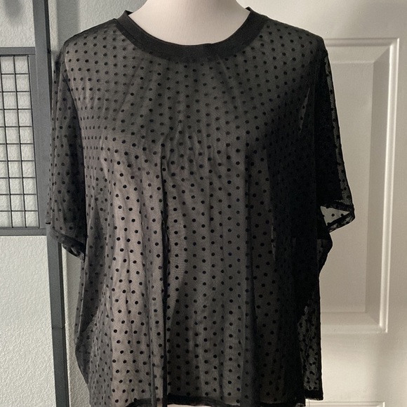 Ashley Graham | Tops | Ashley Graham Sheer Dot Boxy Crop Top 3x | Poshmark